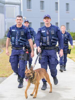 Security and Intelligence Division careers | Department of Justice and Community Safety Victoria